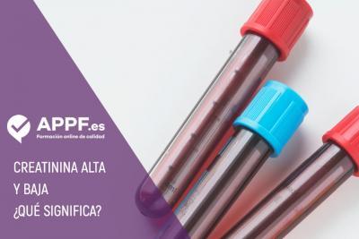 Creatinina alta y baja, ¿qué es y qué significa? | Blog APPF